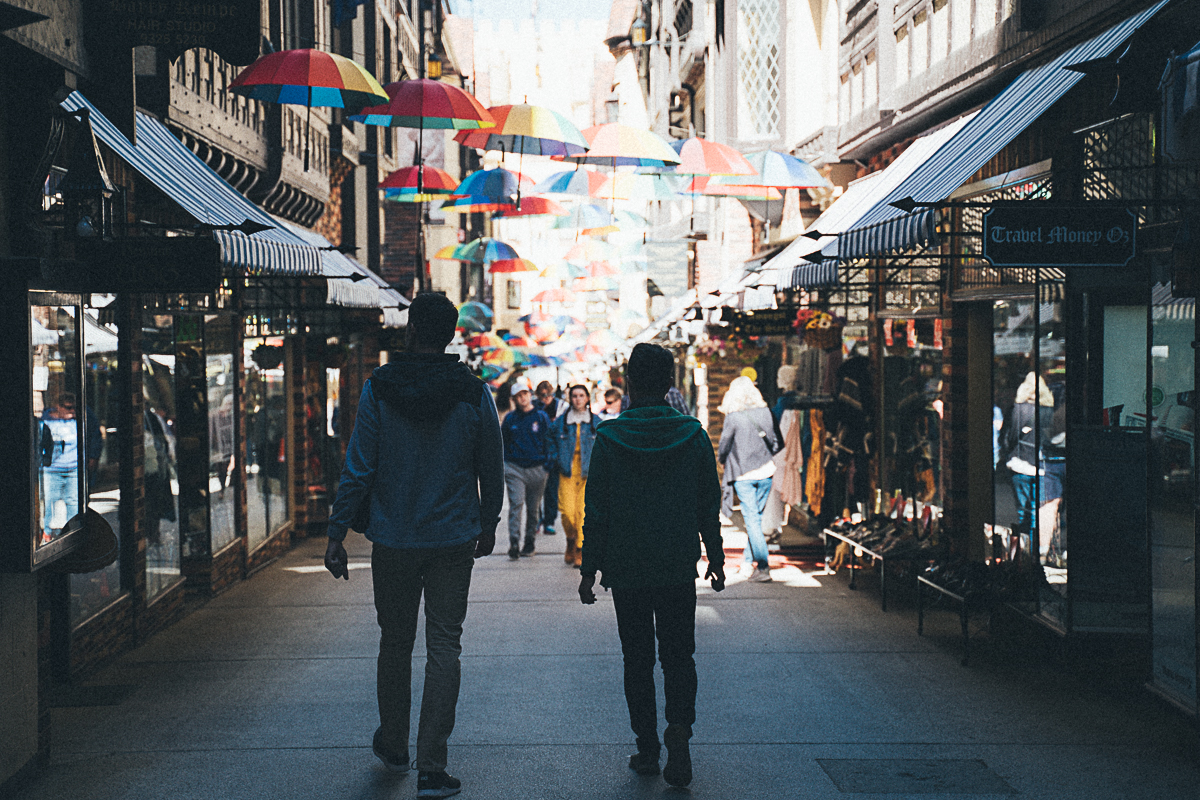 Important Property Update: Typlex 1050 Pipes in WA Homes (Built Mid ...